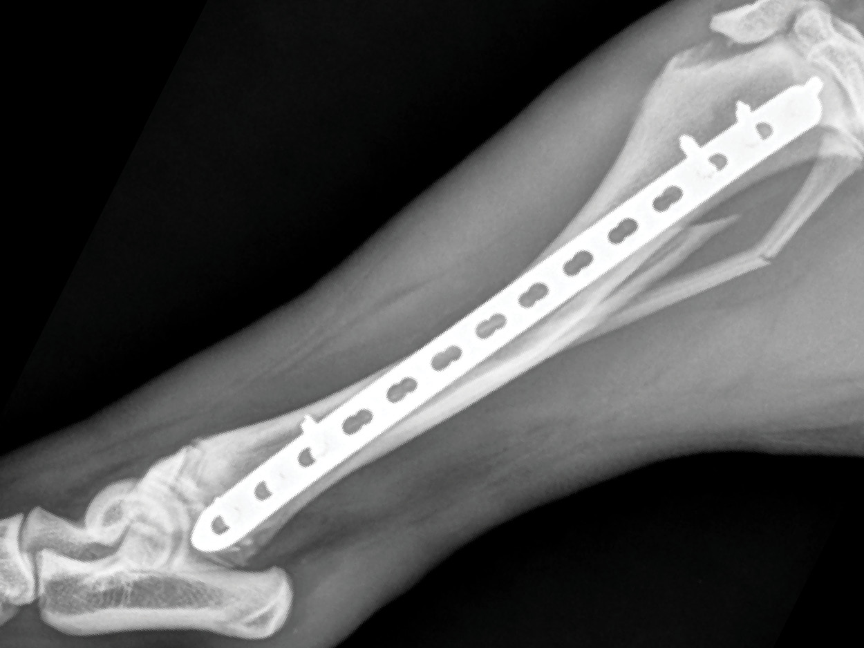 Movora Education - Upcoming Opportunities